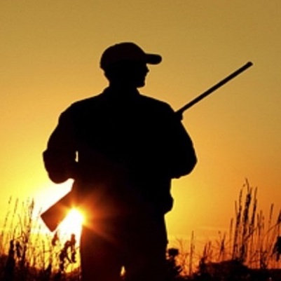 Hunting Lights by Lightforce Supplied Worldwide